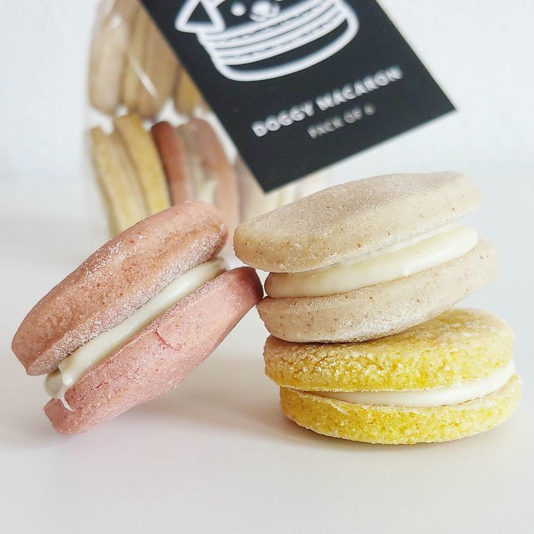 Doggy Macaron – Blog | We Love To Create
